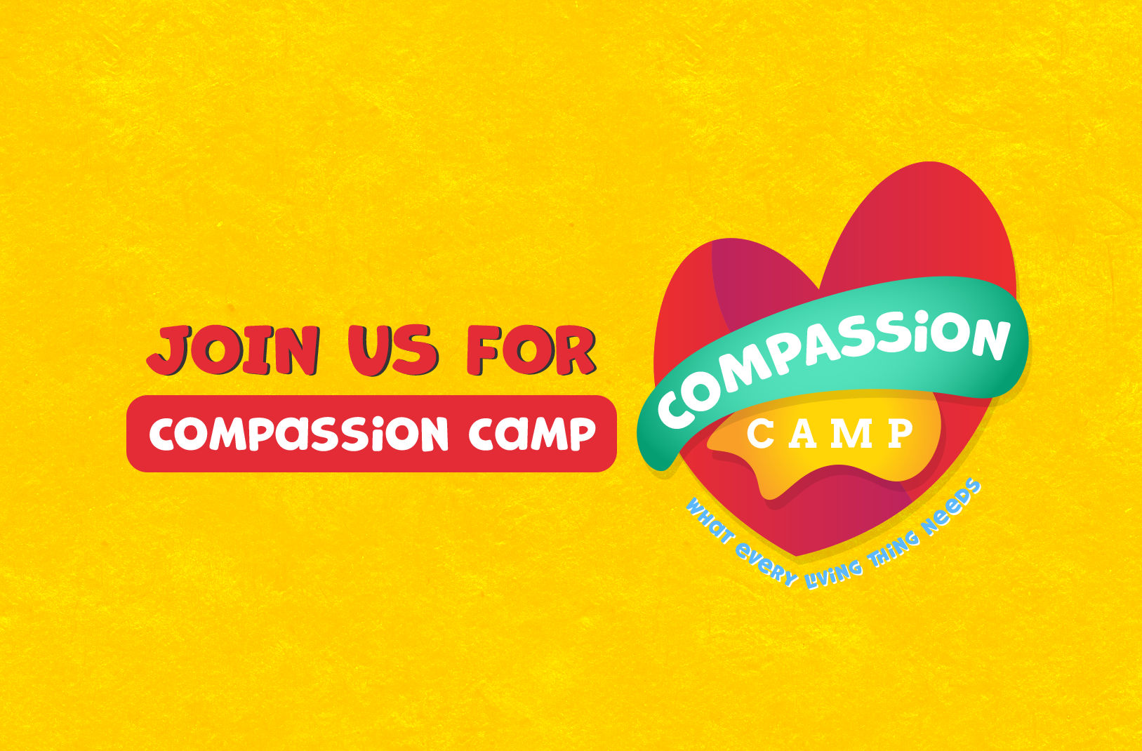 Vacation Bible School 2023 theme : Compassion Camp — Mount Olivet