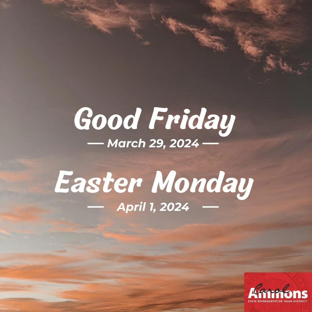 State Representative Carol Ammons