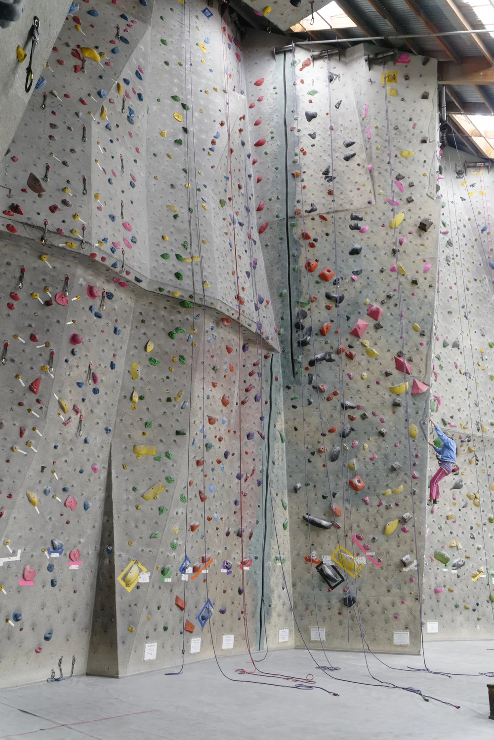 Gym Tour — Pacific Edge Climbing Gym