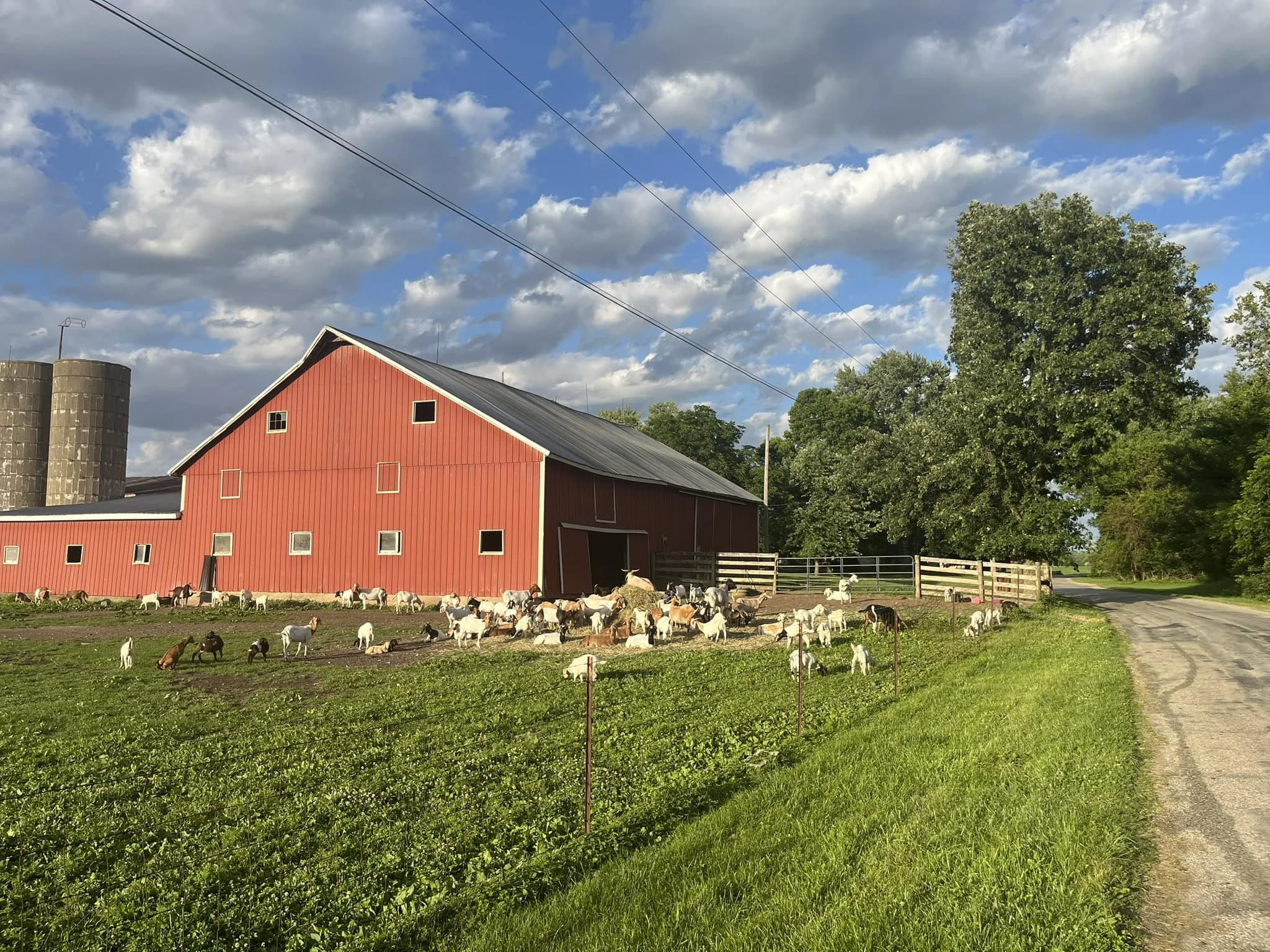 Harrison Farm