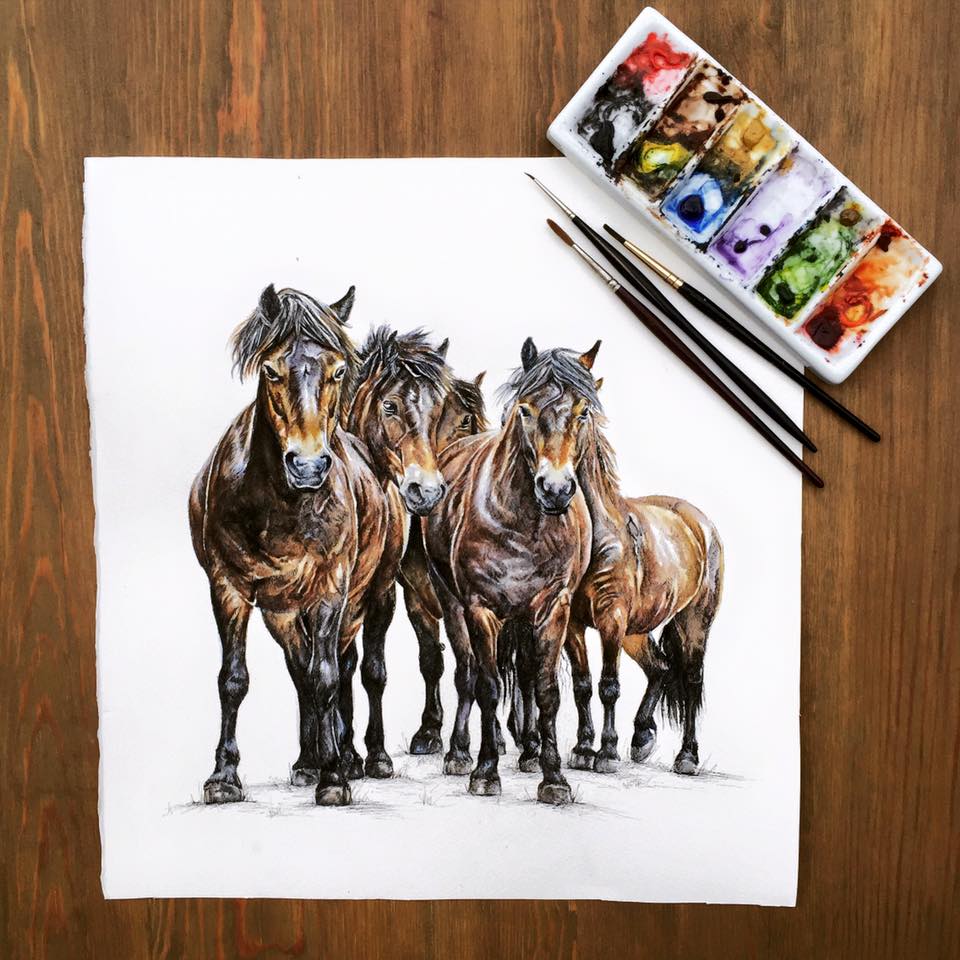 My Epic Horse Project — Kate Simpson | Farm Animal, Pet & Wildlife Artist
