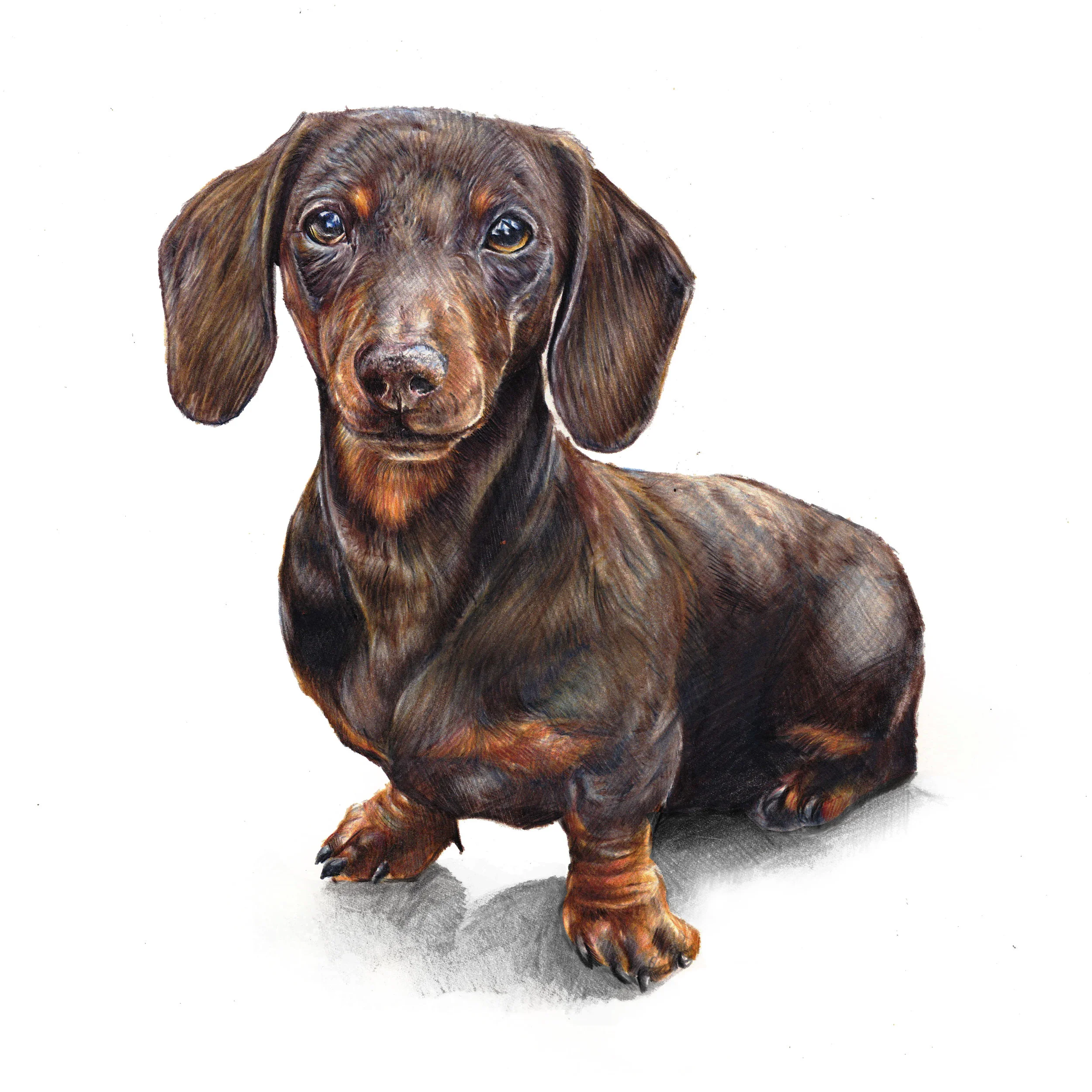 Pet Portrait & Commissions by Fine Artist Kate Simpson — Kate Simpson ...