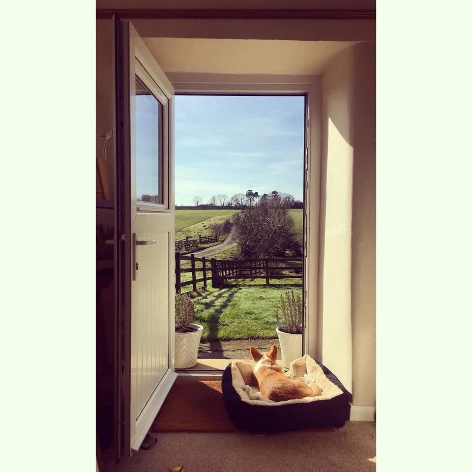 About Fine Artist Kate Simpson — Kate Simpson | Farm Animal, Pet ...