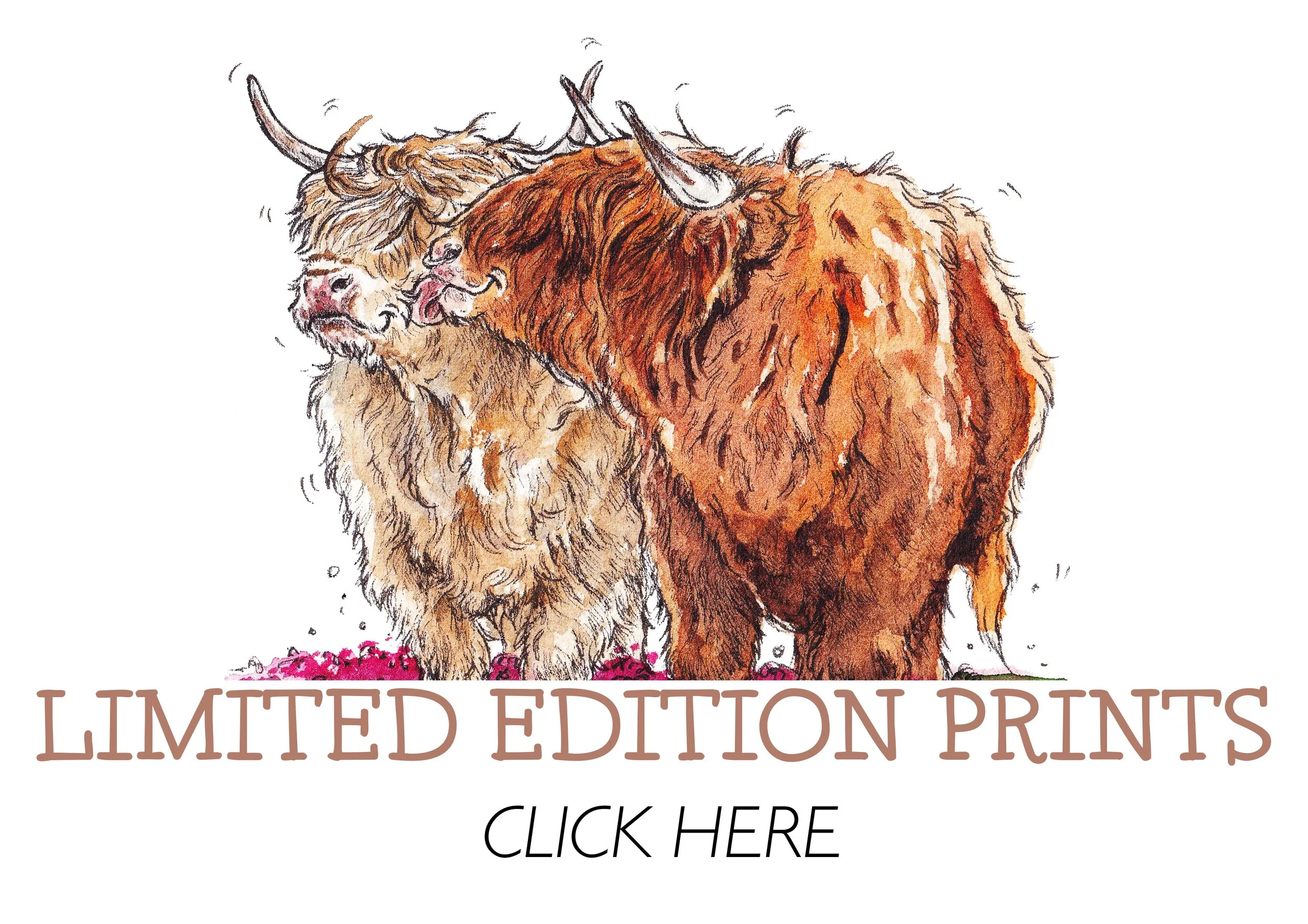 Kate Simpson | Farm Animal, Pet & Wildlife Artist