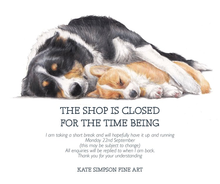 Kate Simpson | Farm Animal, Pet & Wildlife Artist