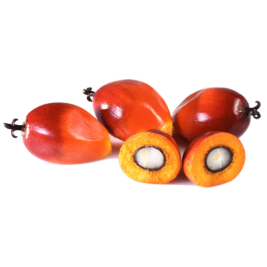 Extracts & Benefits — Ktchn Apothecary