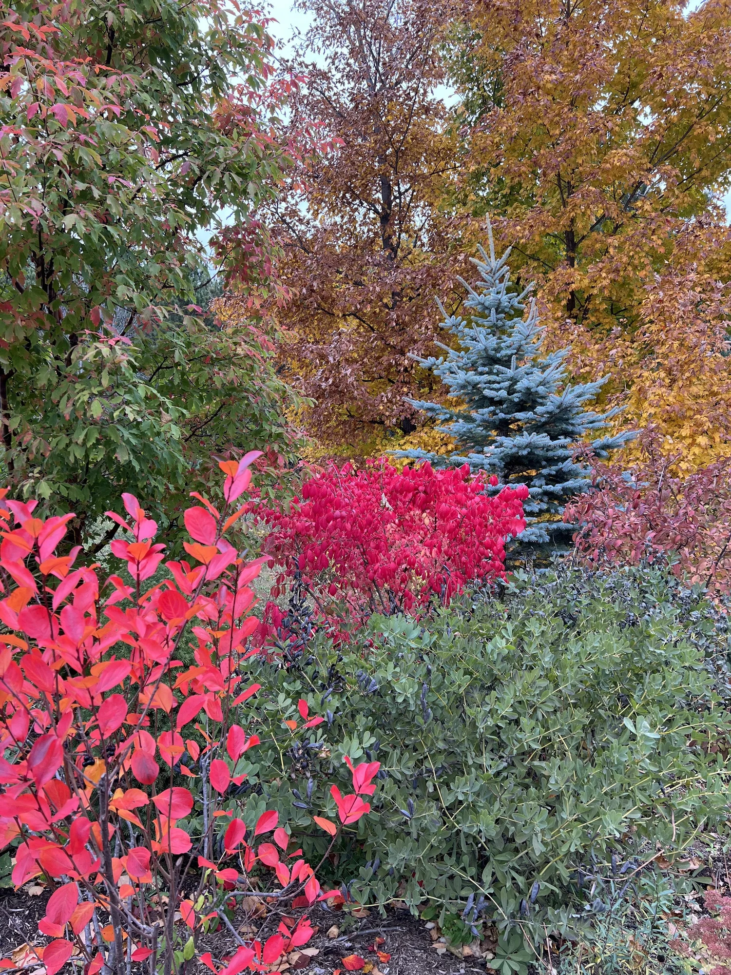 Peninsula Perennial Nursery