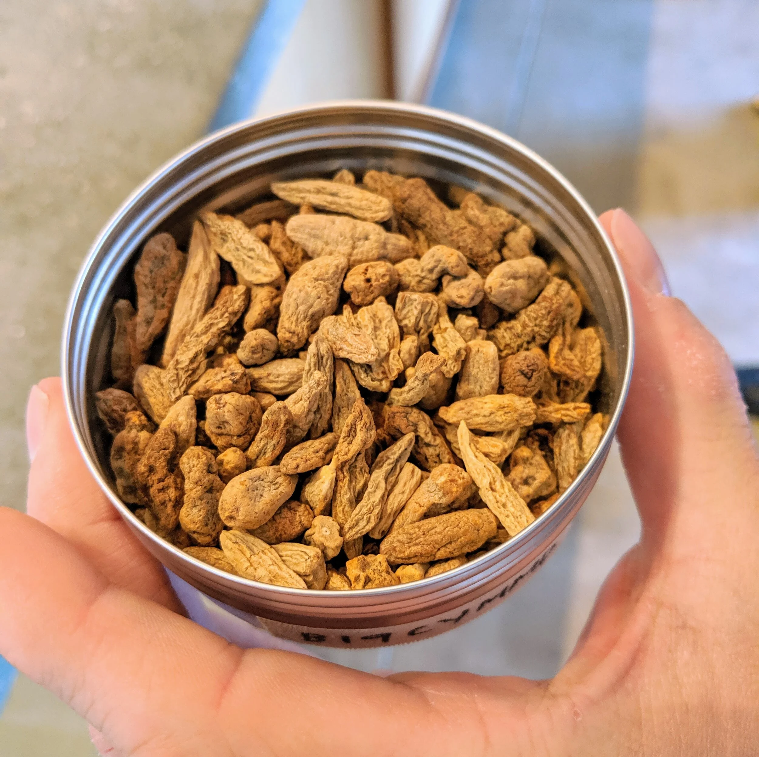 A micro lot Korean tea tasting in Los Angeles — The Tea Squirrel