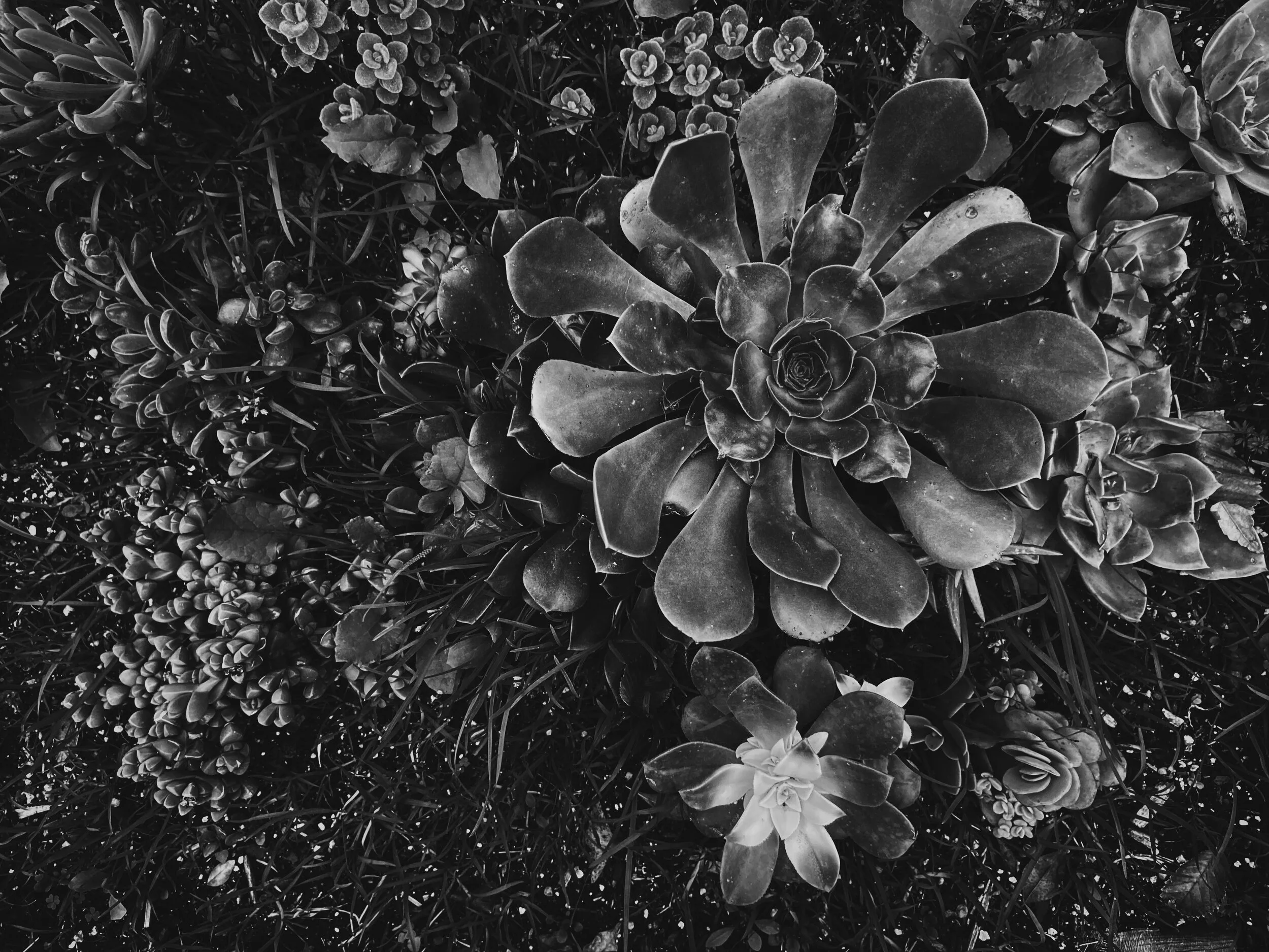 Jose Franco - Images and Sounds