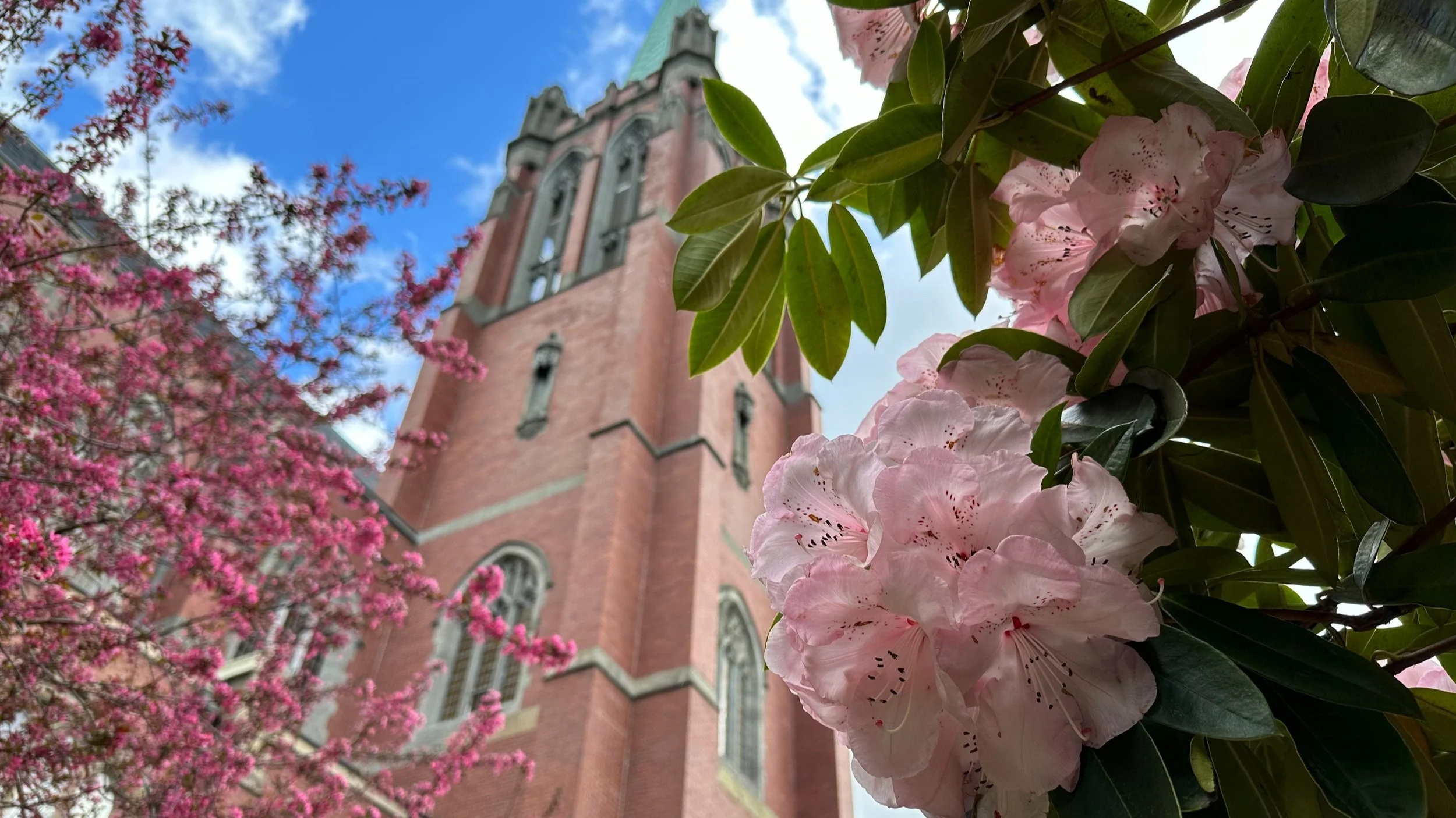 Sunday Forum — Blessed Sacrament Church, Seattle