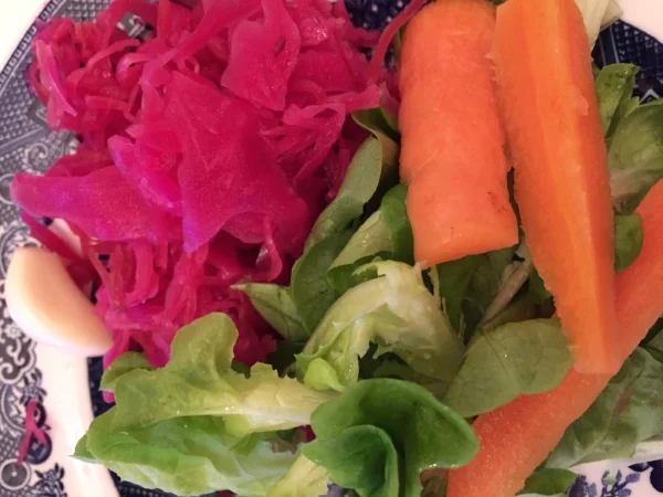 Gulrot - fermentert snacks med sting — Bentes Fermentering