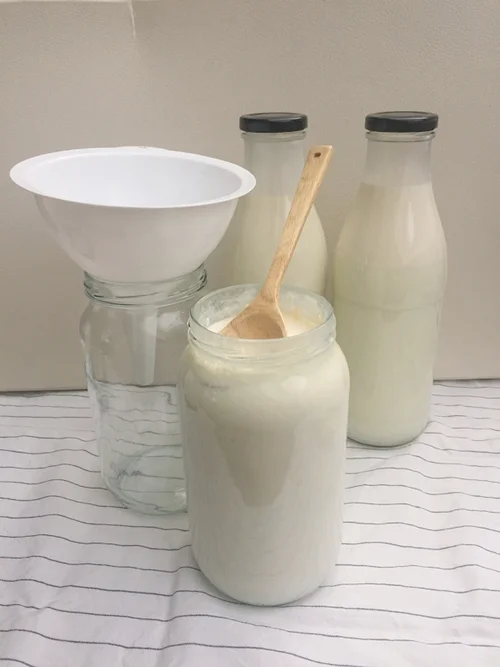 Lag kefir selv - en fantastisk psykobiota — Bentes Fermentering