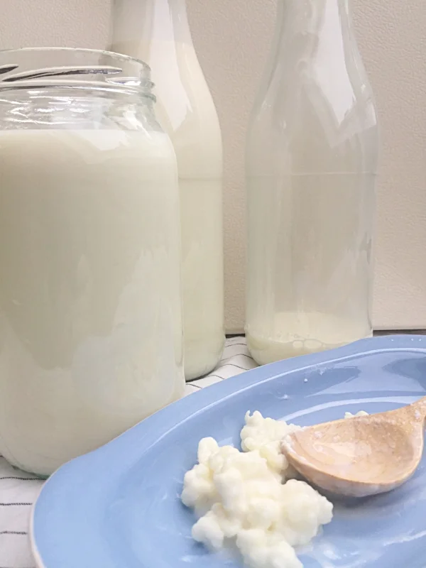 Lag kefir selv - en fantastisk psykobiota — Bentes Fermentering