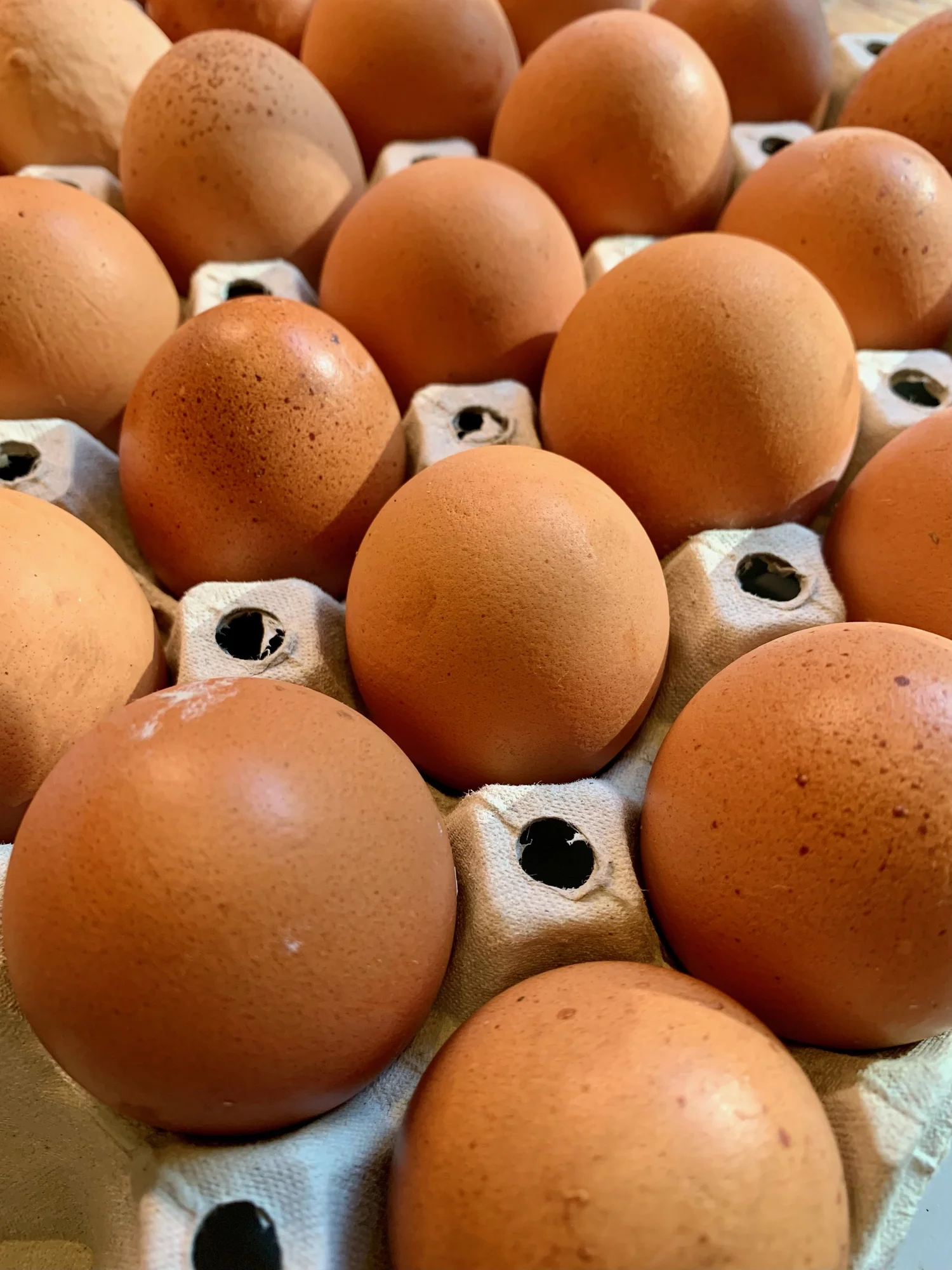 KETO pizza 🍕 — Bentes Fermentering