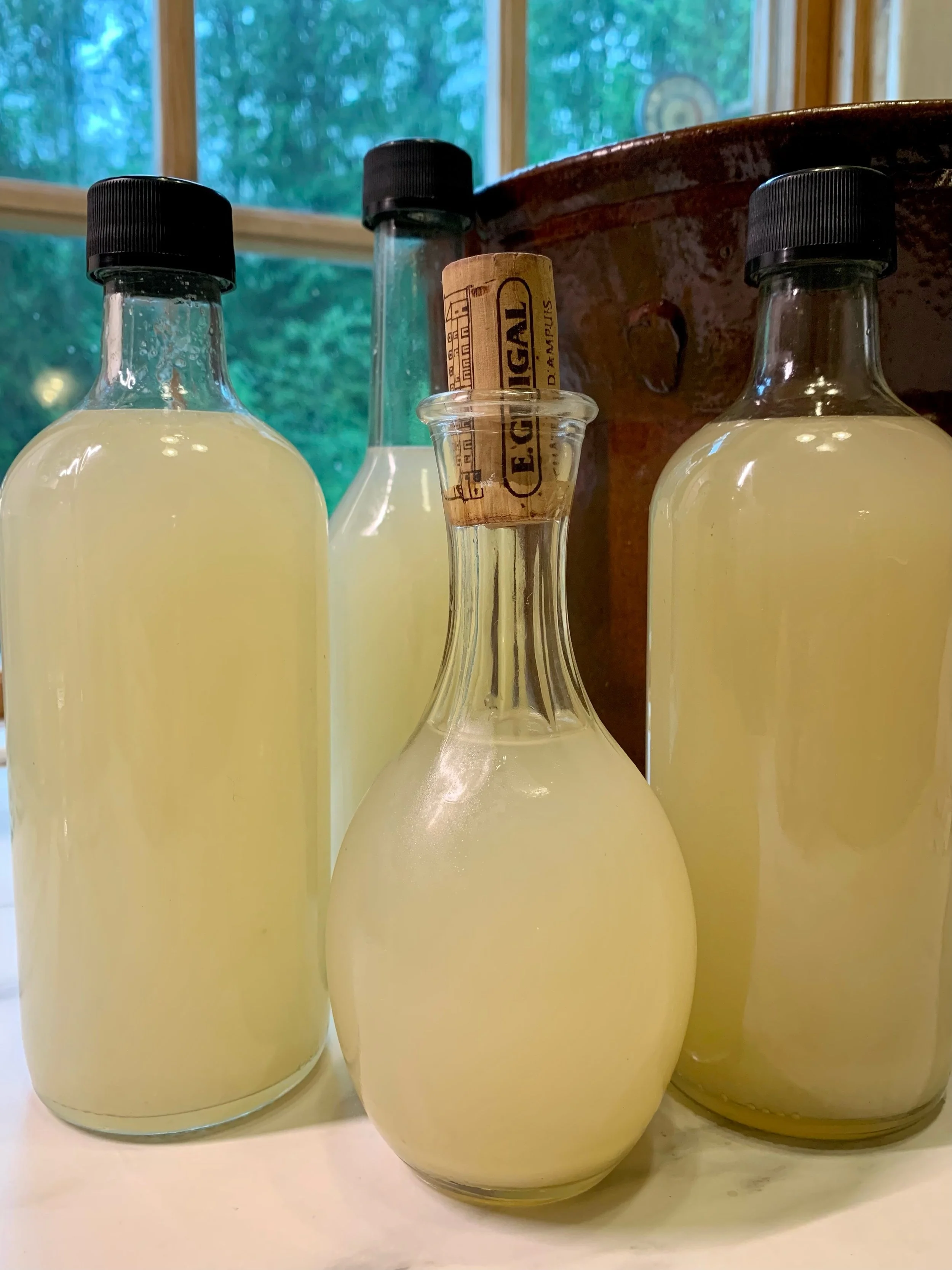 Fermentert kvass av sitron og kål 🍋 — Bentes Fermentering