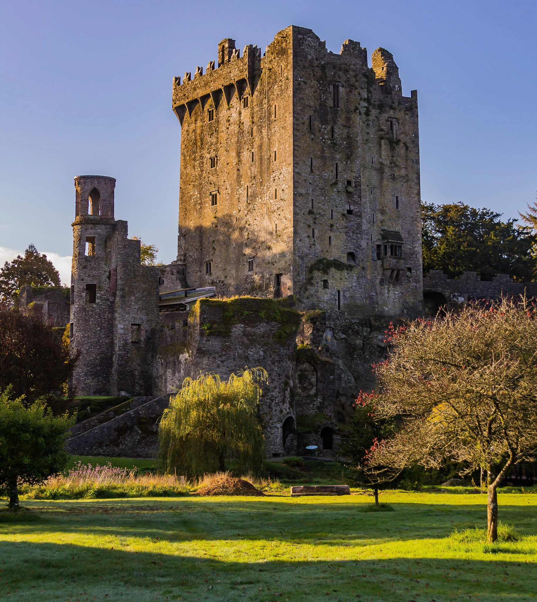 Famous Old Blarney - Karl Chronicles - Post #24 — Louise Trotter