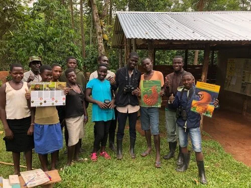 WILDAID PANGOLIN POSTERS creative direction for Inktank — Amy Johnson