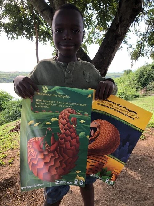 WILDAID PANGOLIN POSTERS creative direction for Inktank — Amy Johnson