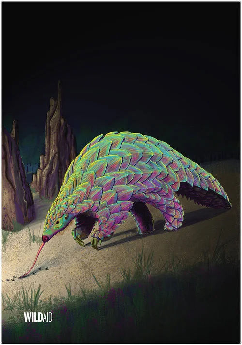 WILDAID PANGOLIN POSTERS creative direction for Inktank — Amy Johnson