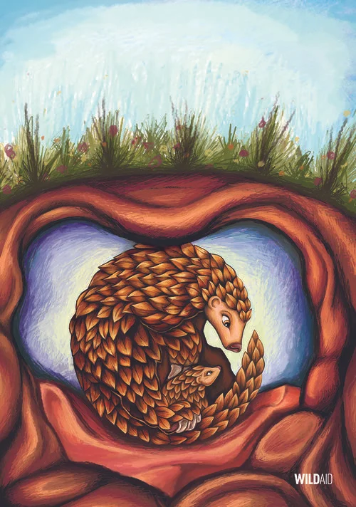 WILDAID PANGOLIN POSTERS creative direction for Inktank — Amy Johnson