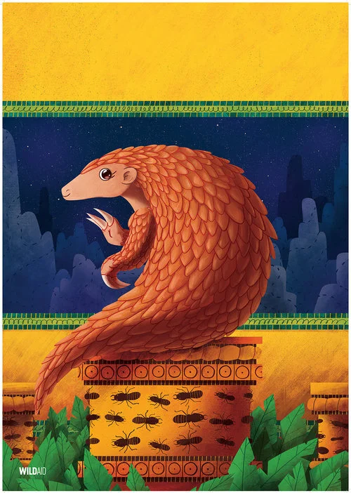 WILDAID PANGOLIN POSTERS creative direction for Inktank — Amy Johnson