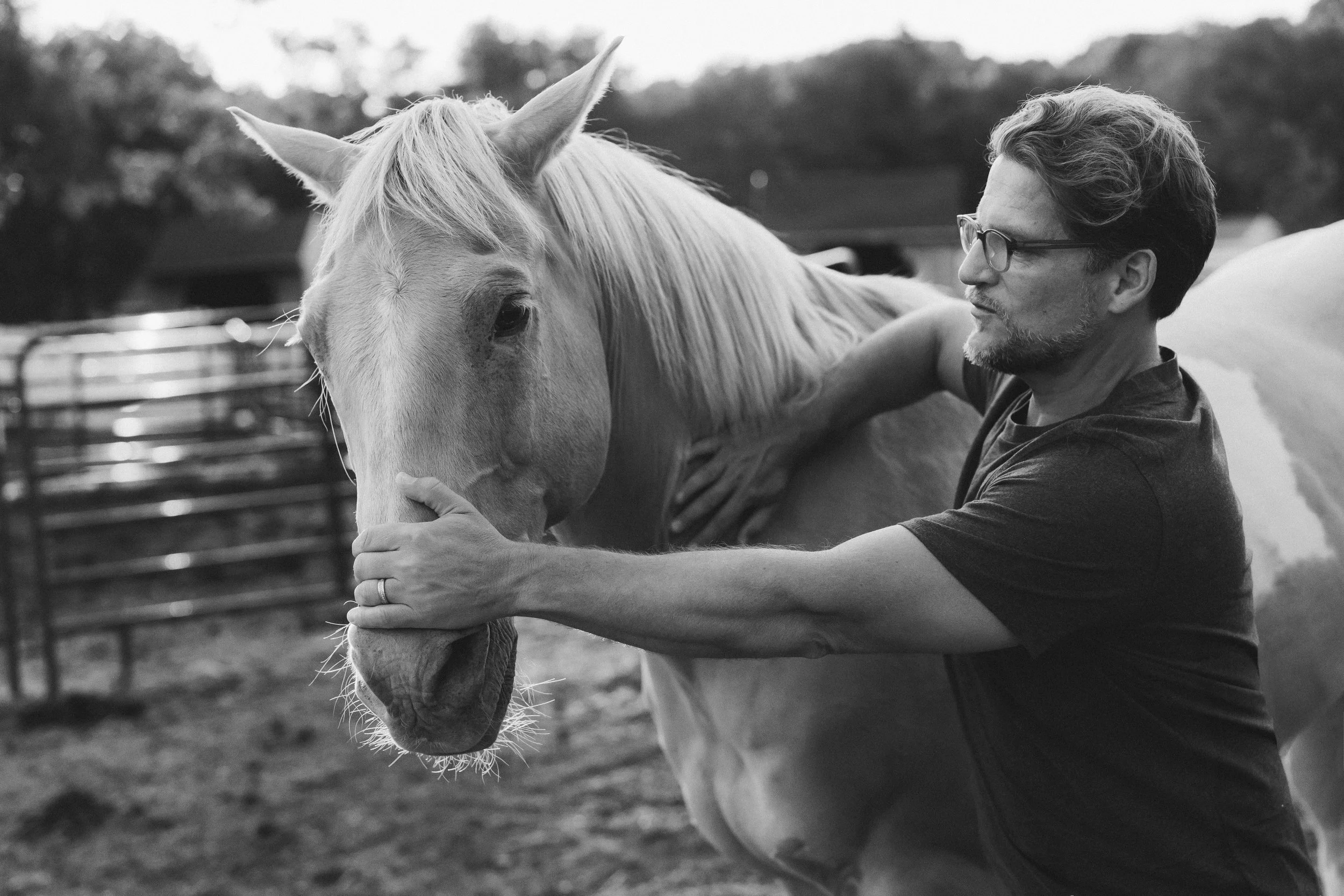 Animal Chiropractic Dr Paul Perreault