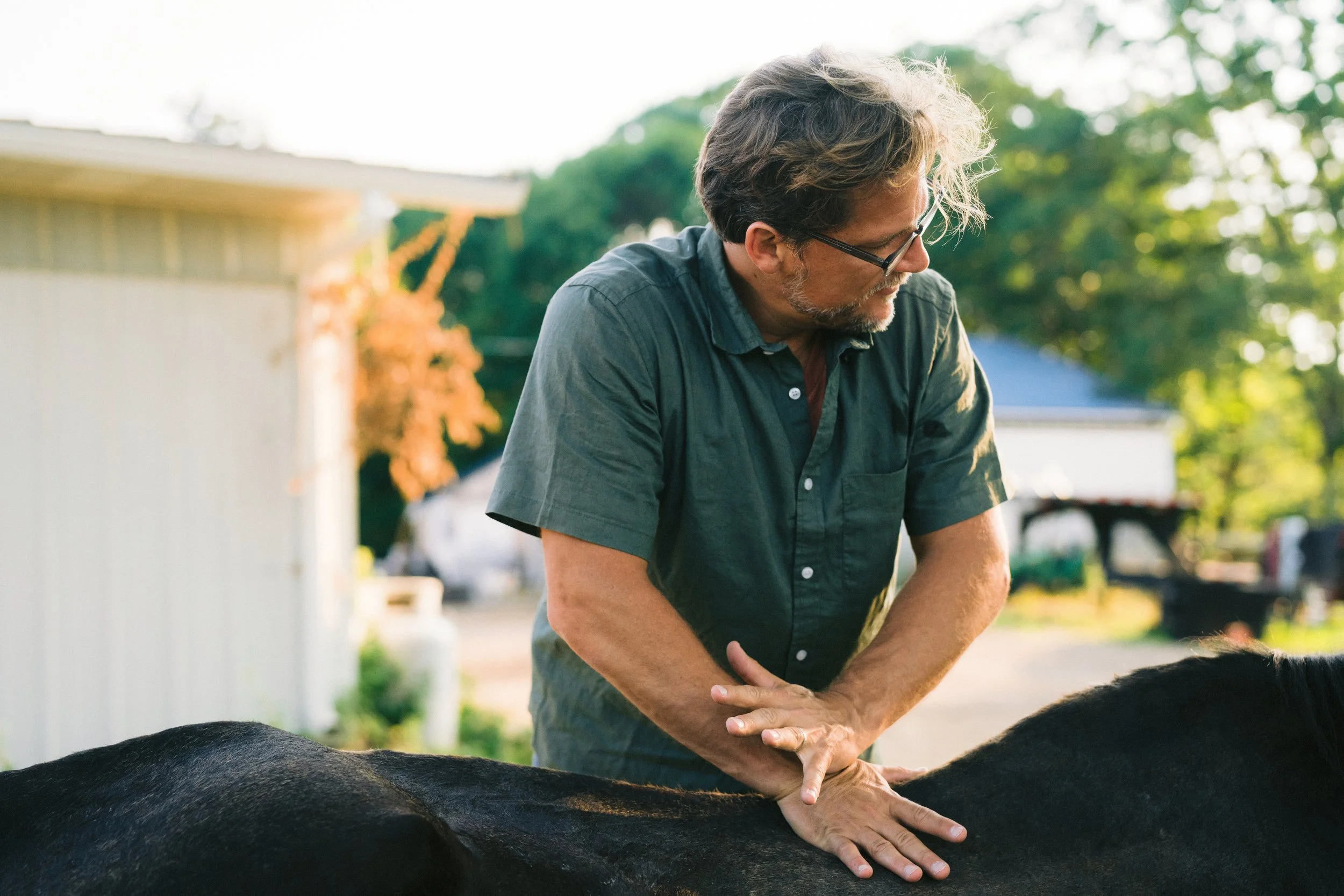 Animal Chiropractic — Dr. Paul Perreault