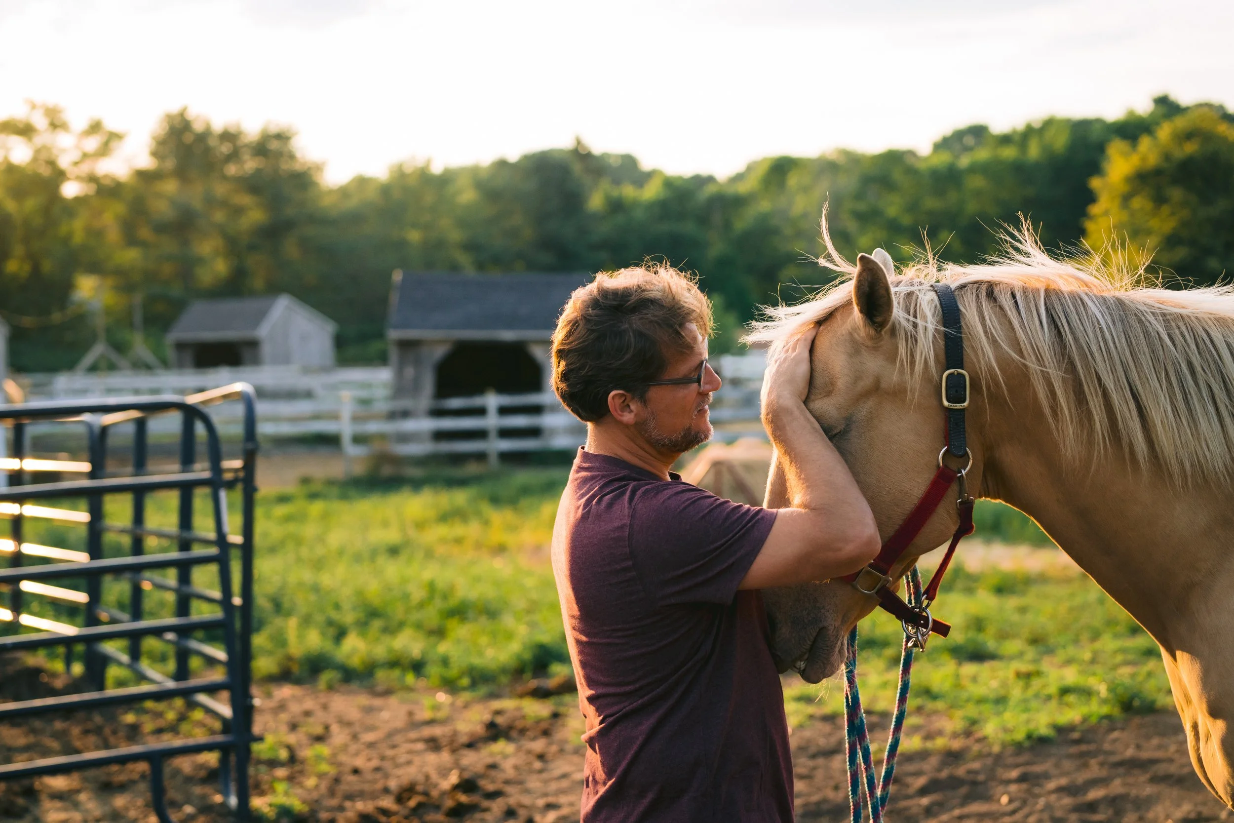 Animal Chiropractic — Dr. Paul Perreault