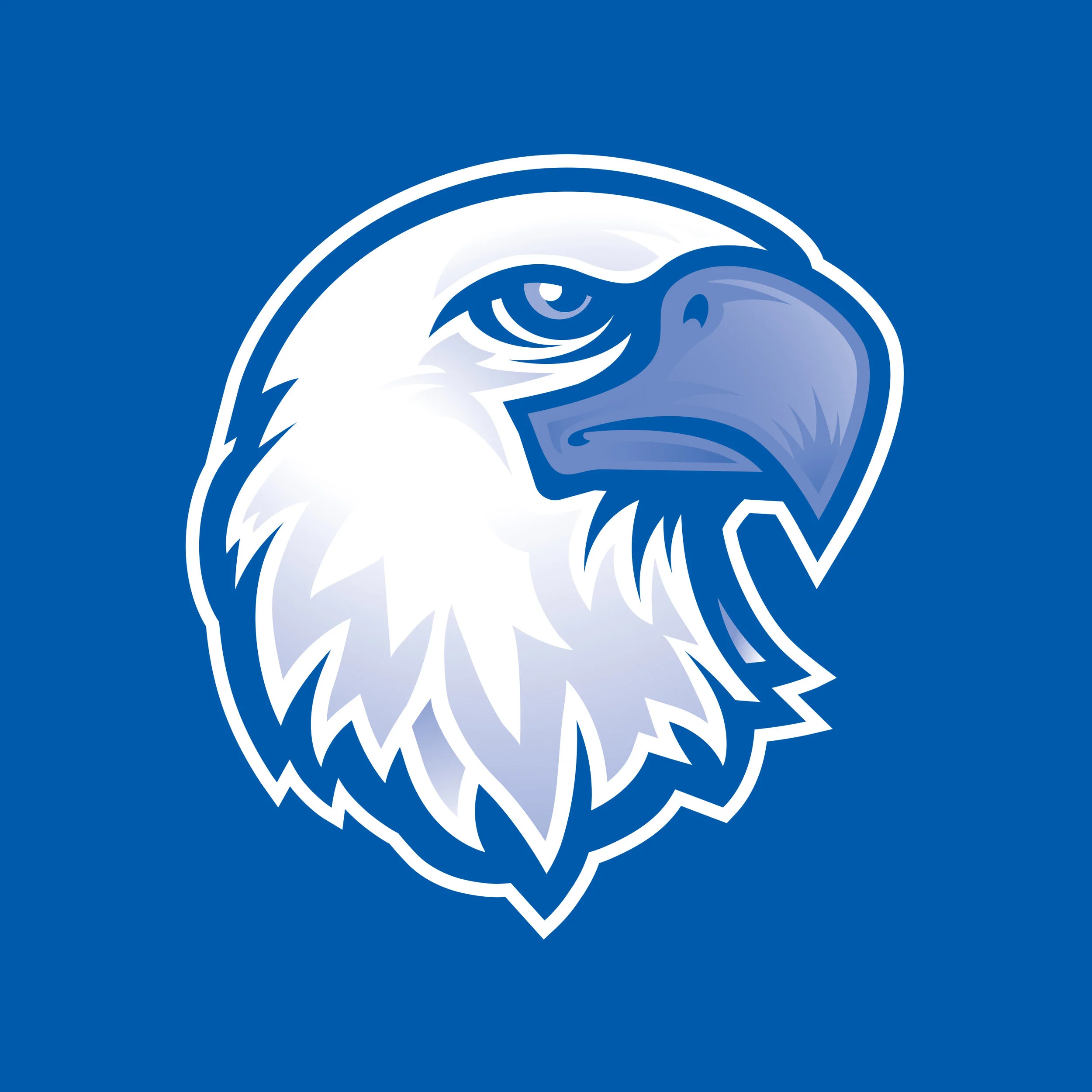 Exeter Eagles Logo Exeter Eagles | TikTok
