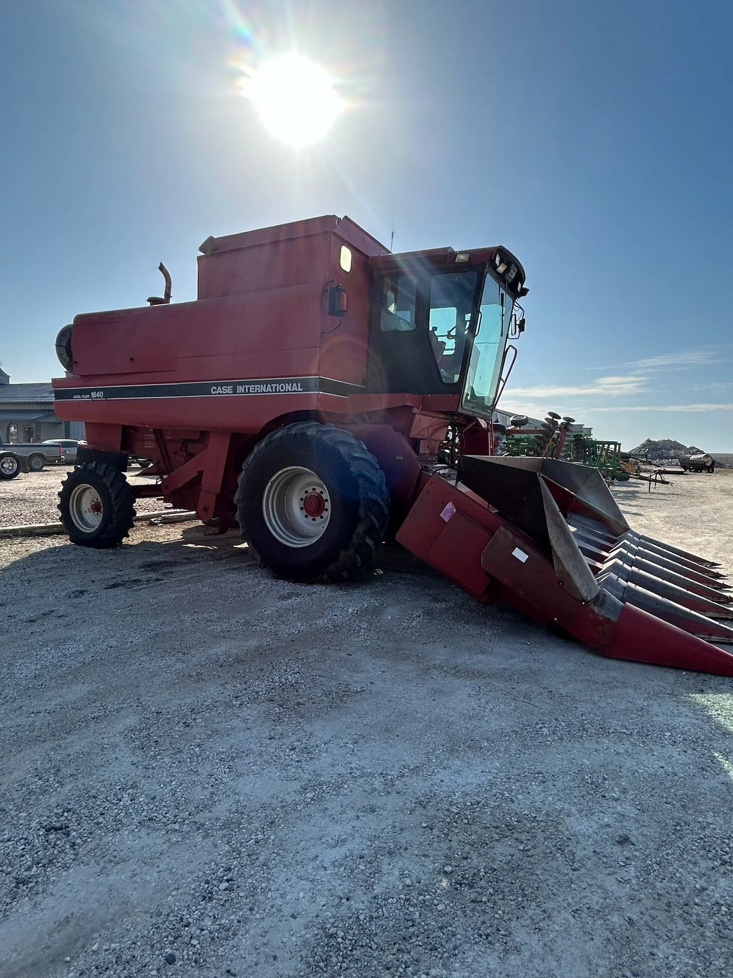 Live Auctions — MACI