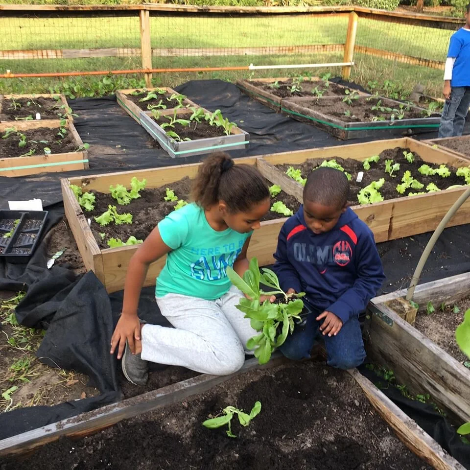 Community Garden & Hoop House Grants | SCACED