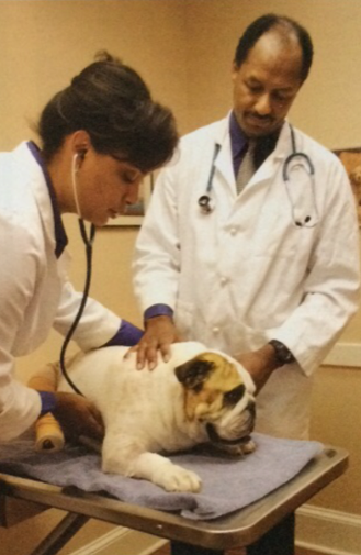 About Us — Athens Veterinary Surgery Center