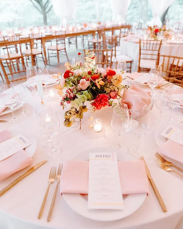 IDA ROSE events + design