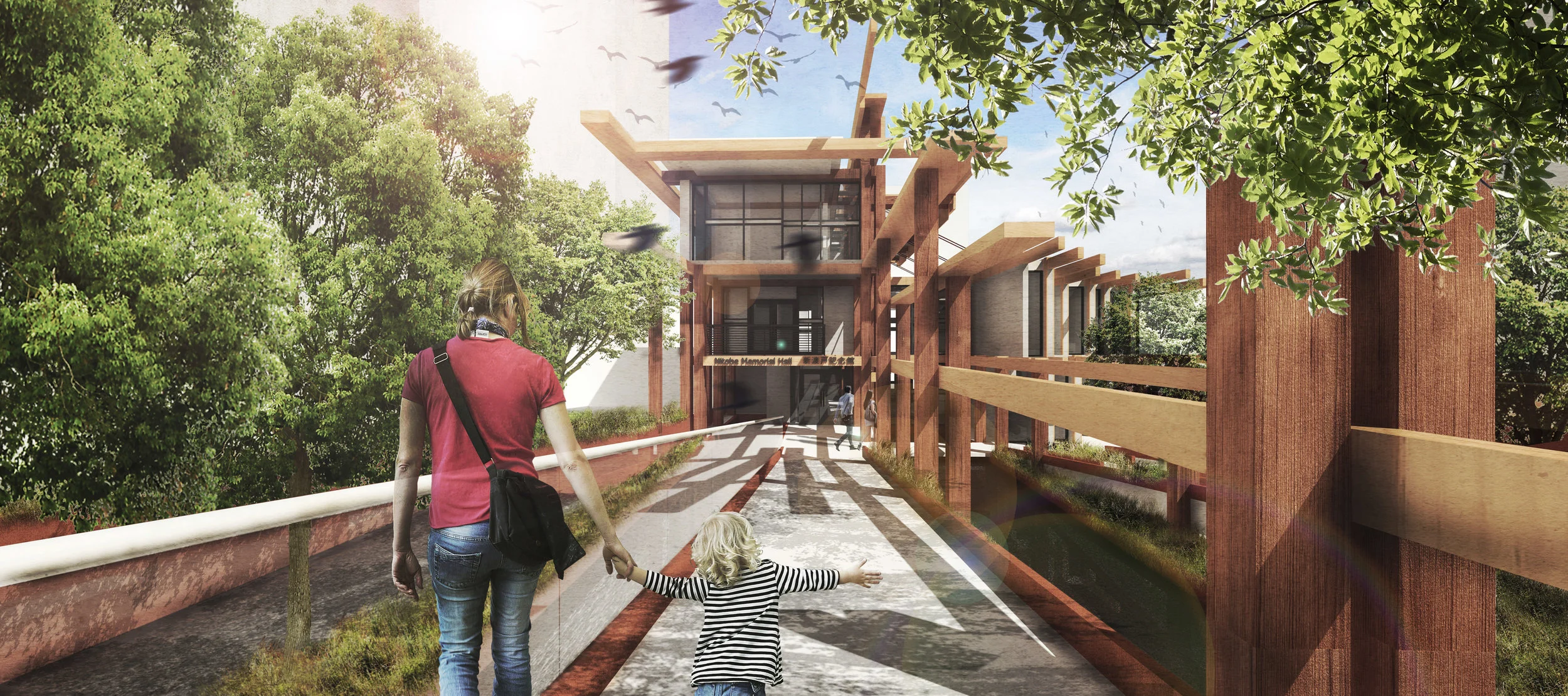 Collection — Andrew Shea