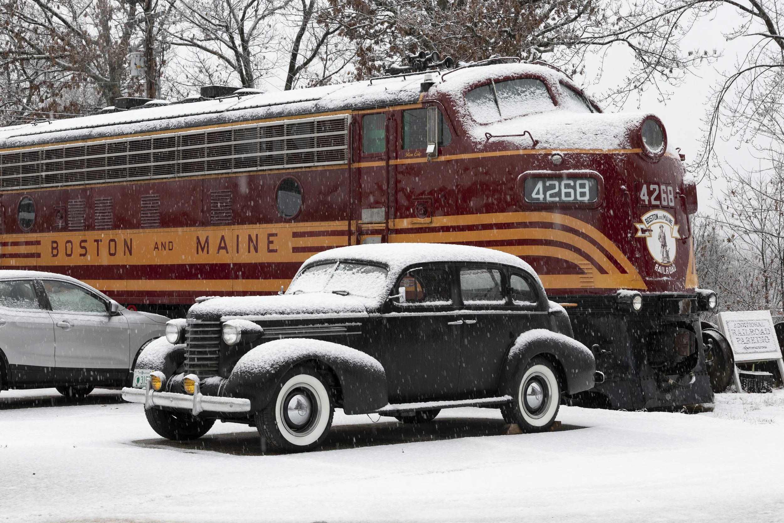 Collection — Andrew Shea