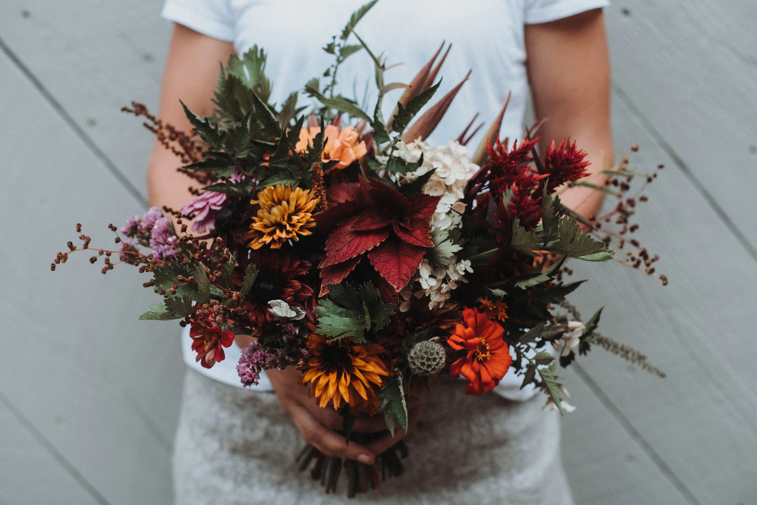 Fall Flowers In Season