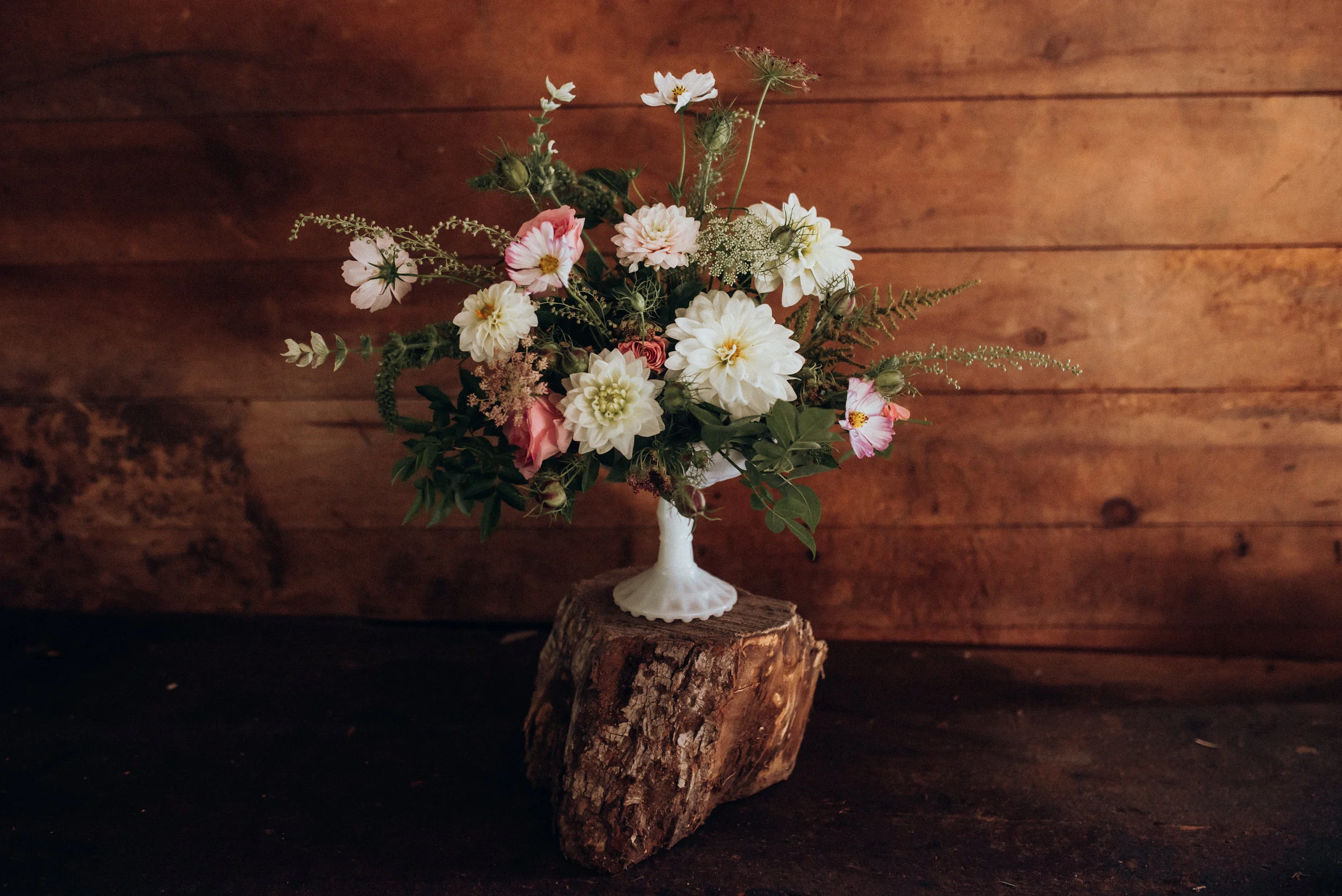 Gallery — Bad Rabbit Flowers