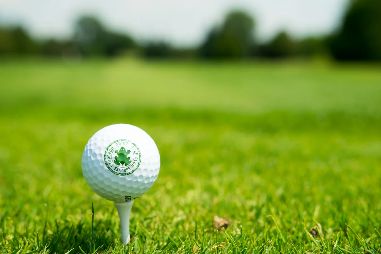 Sturgeon Point Golf Club