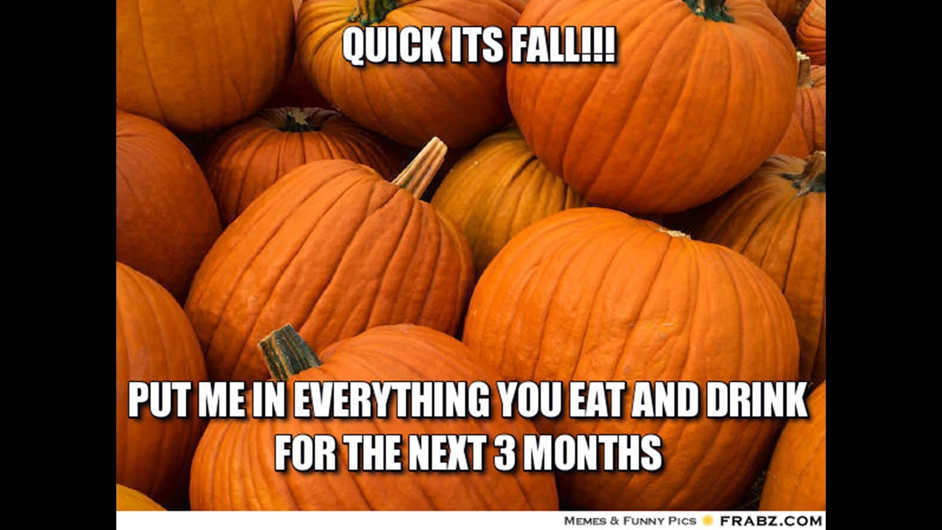 Pass the Pumpkins Round and Round - a play-along video for singing ...