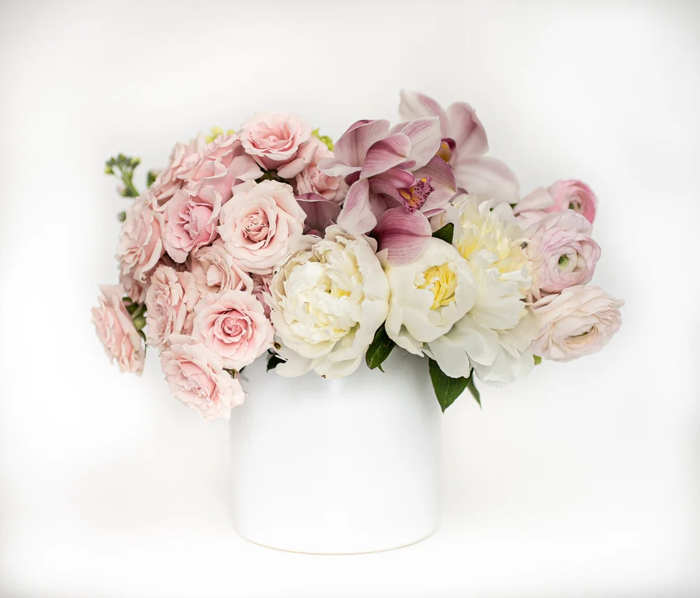 Trust Roses Peach