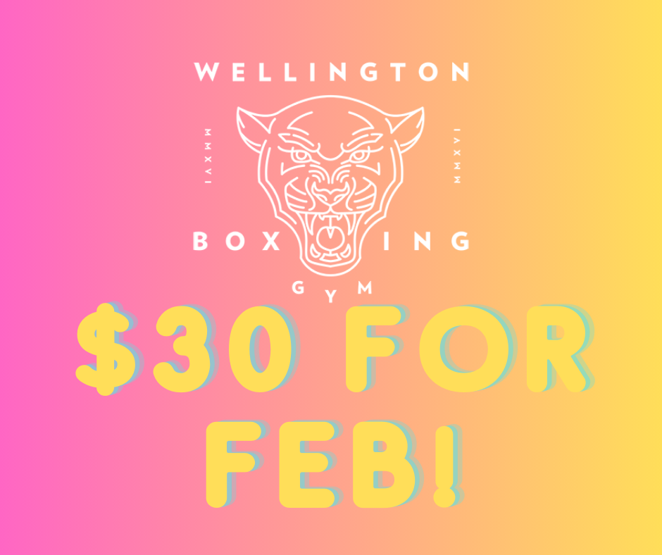 Wellington boxing gym