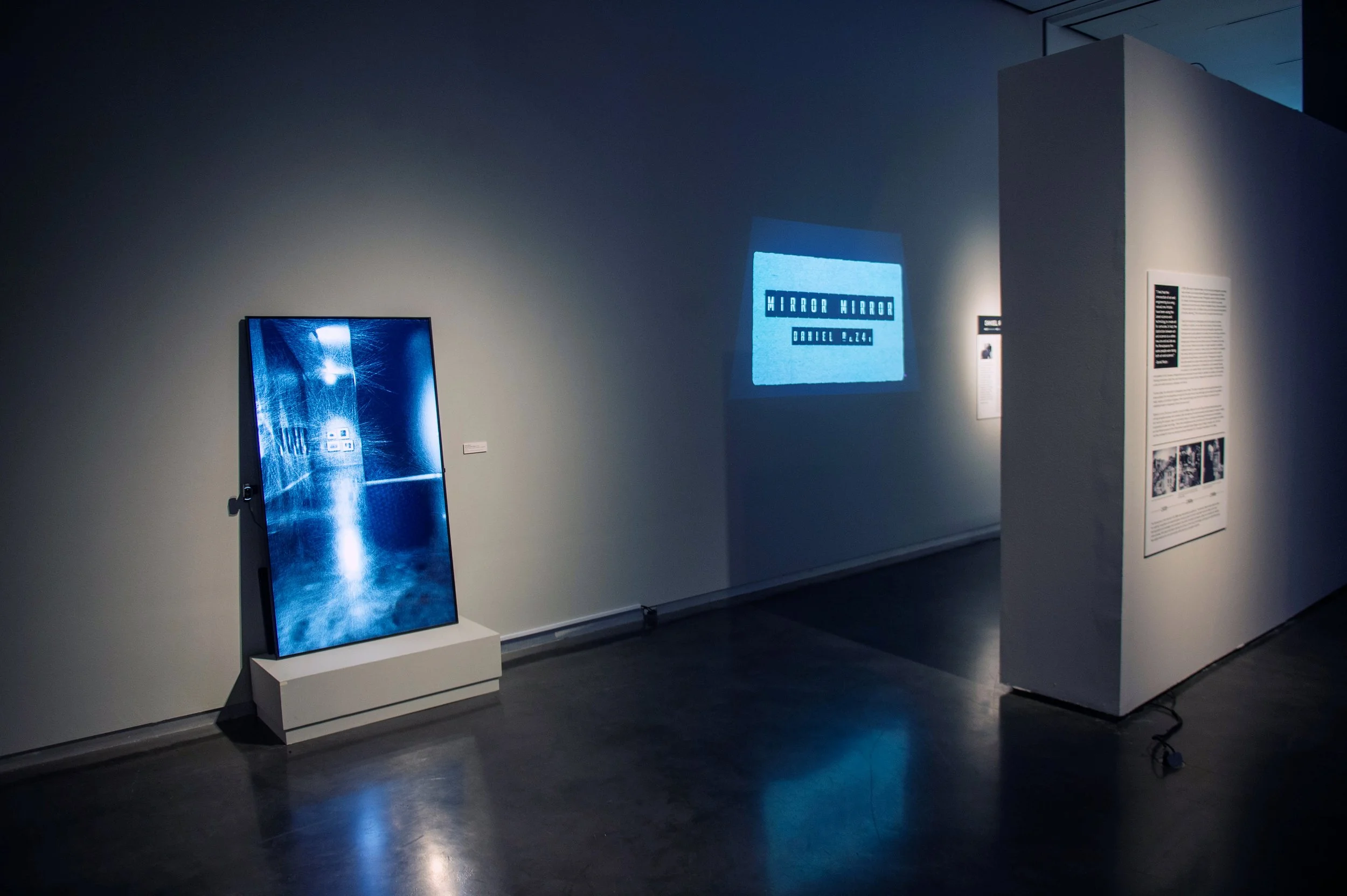 Mirror Mirror by Daniel Rozin — LSU Museum of Art