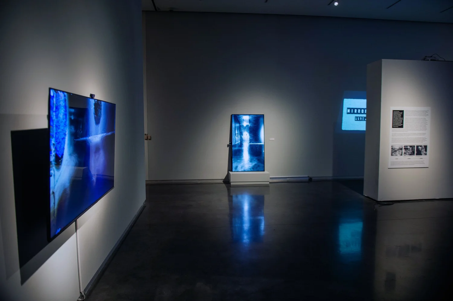 Mirror Mirror by Daniel Rozin — LSU Museum of Art