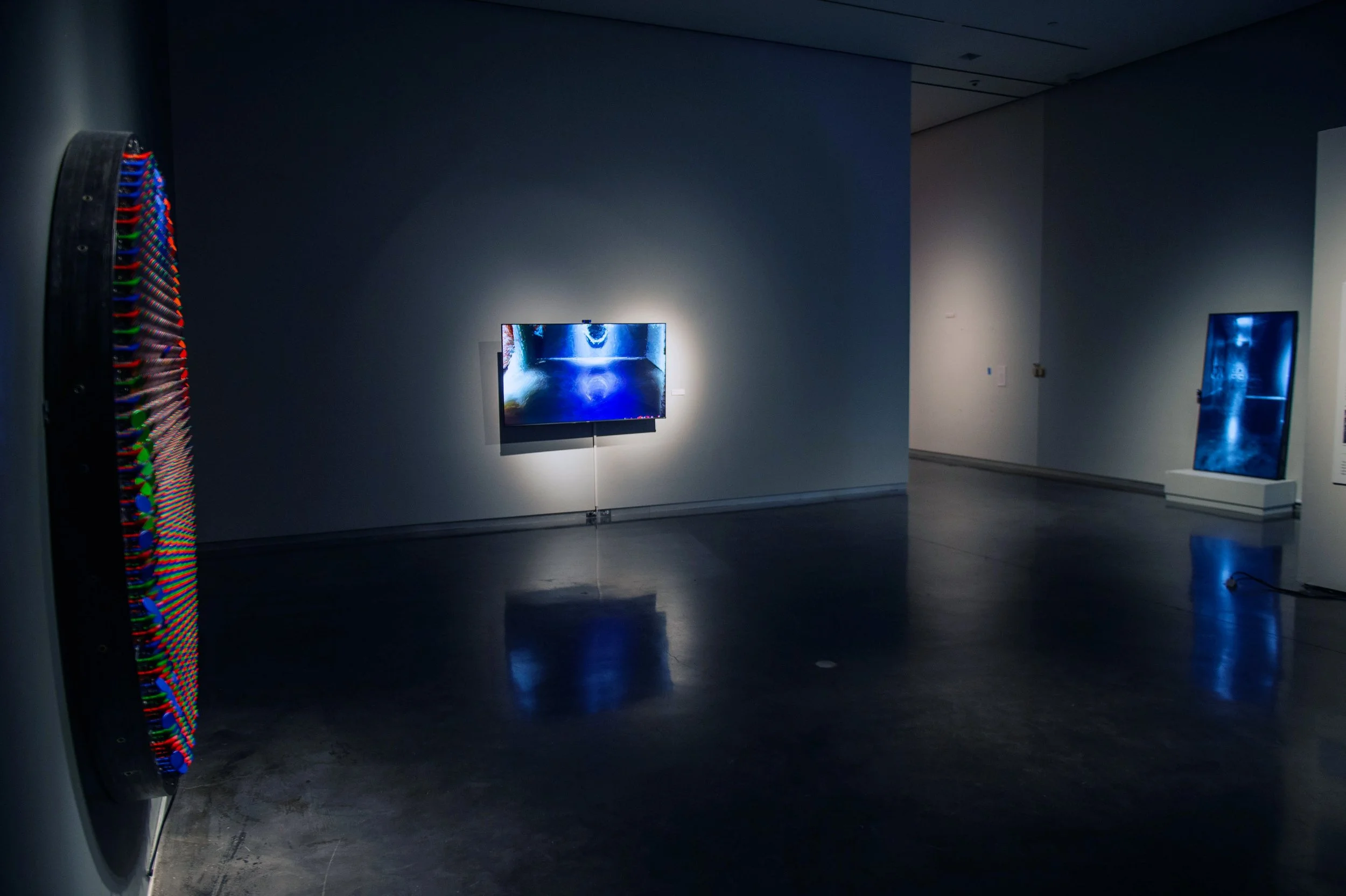 Mirror Mirror by Daniel Rozin — LSU Museum of Art