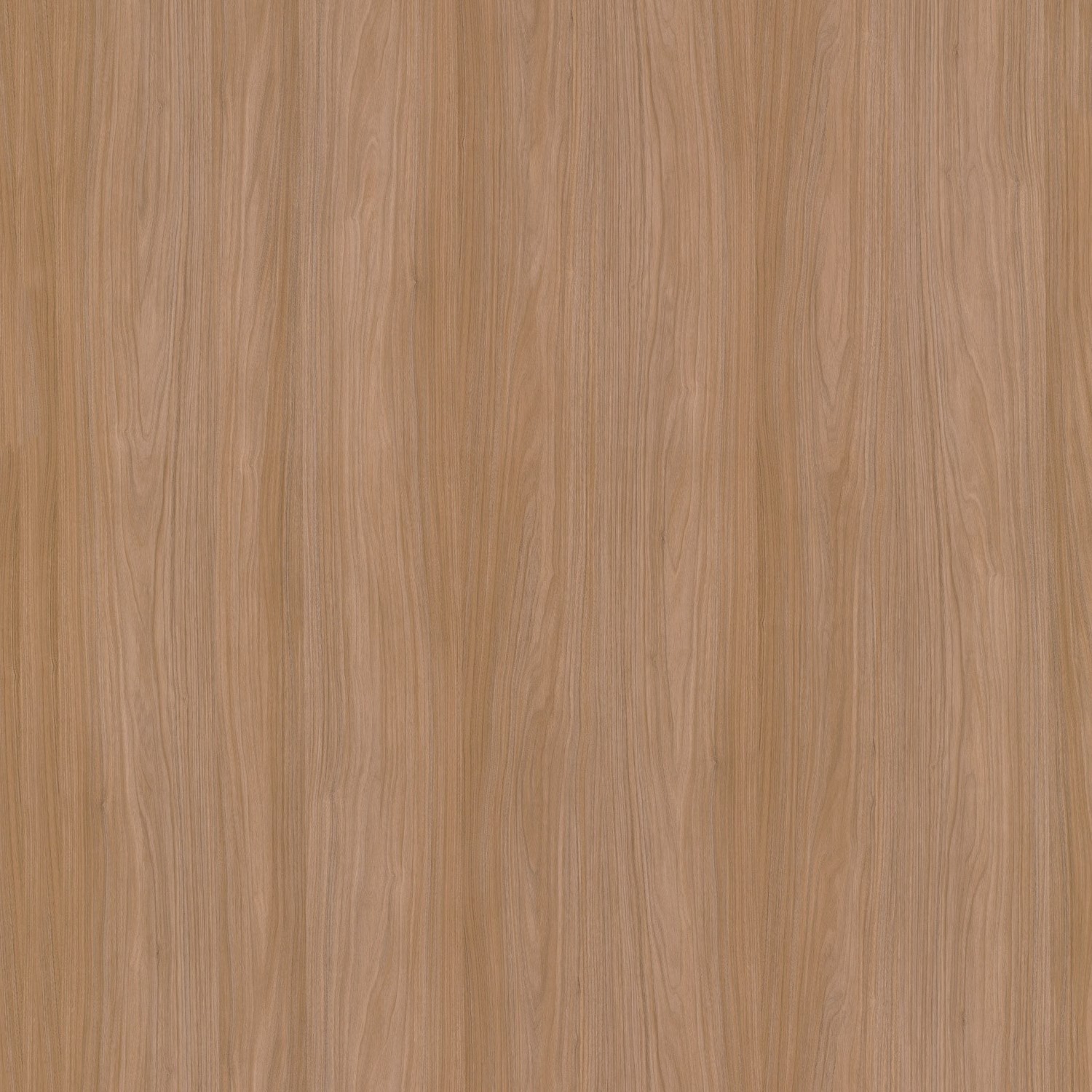 Biel Dental Cabinet Solutions-Laminate Finishes