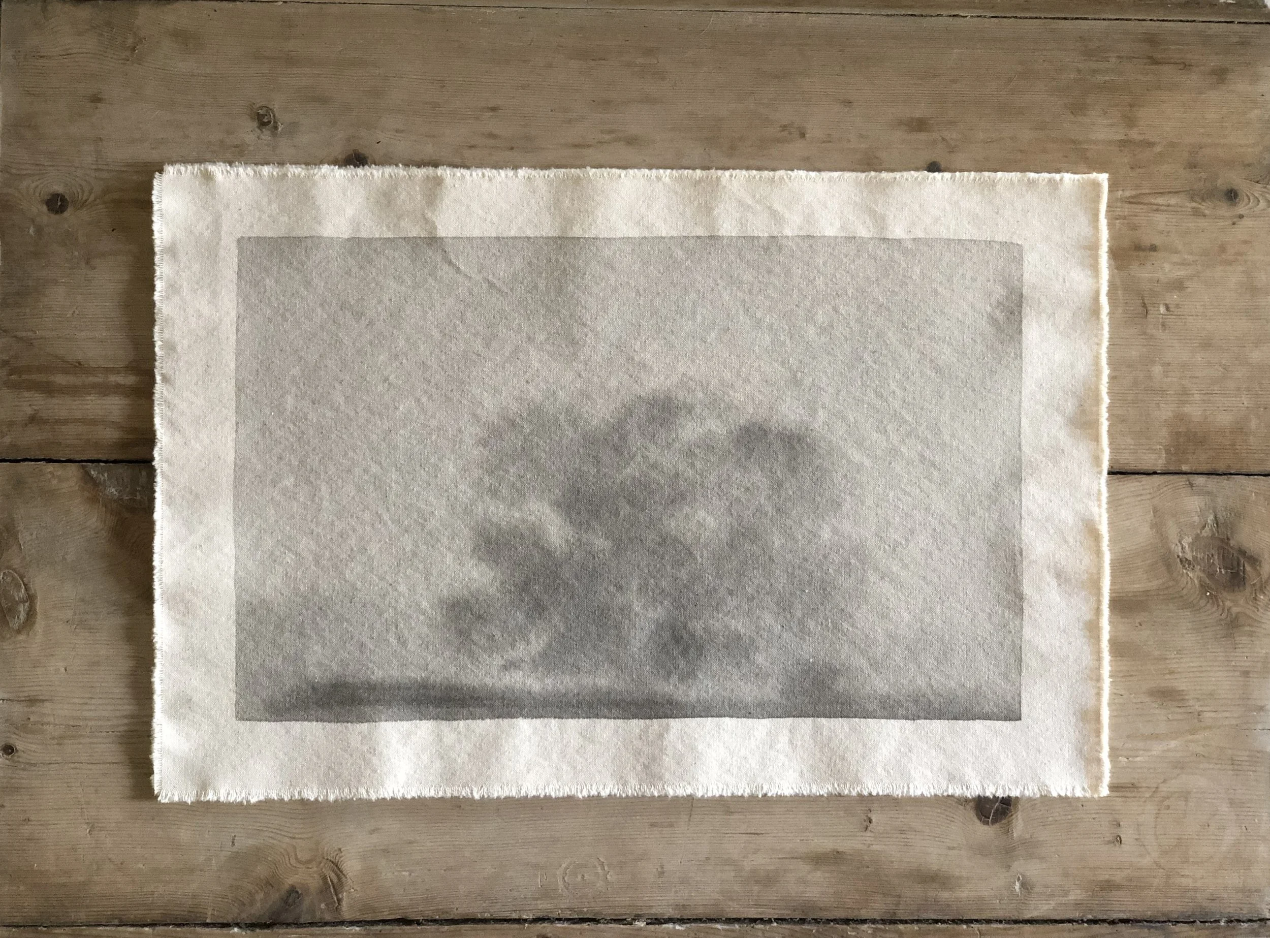 LARGE PIECES — chelsea fly