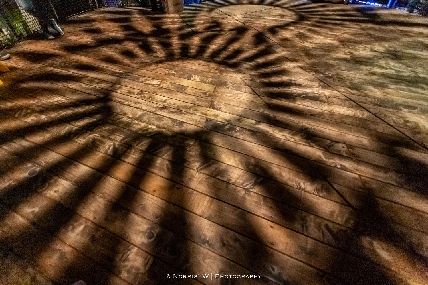 Redwoods at night — NorrisLW Photography