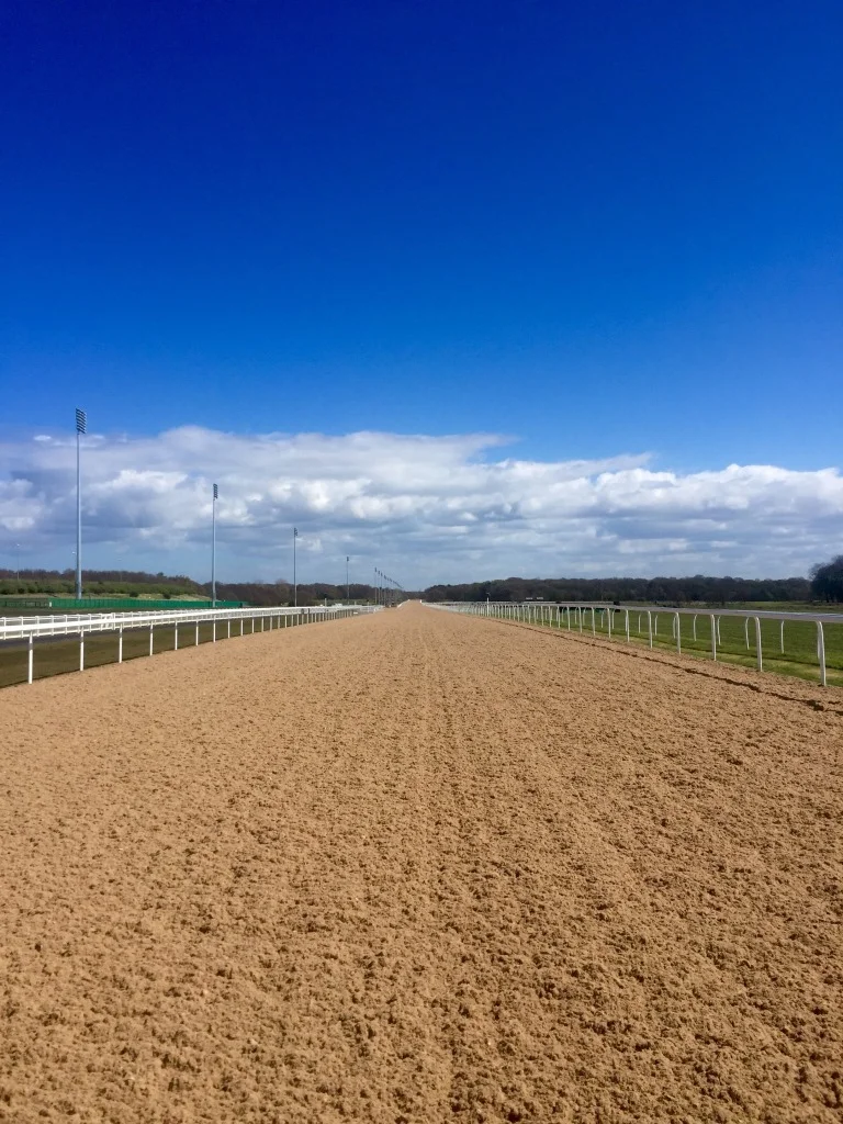 Total Performance Data