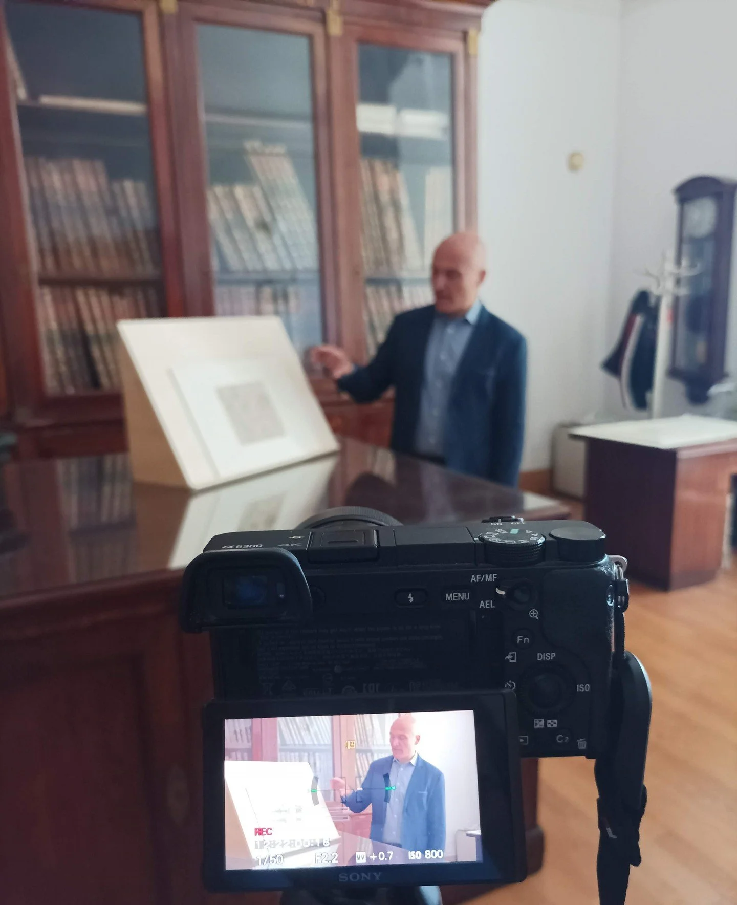 The American Friends of Capodimonte