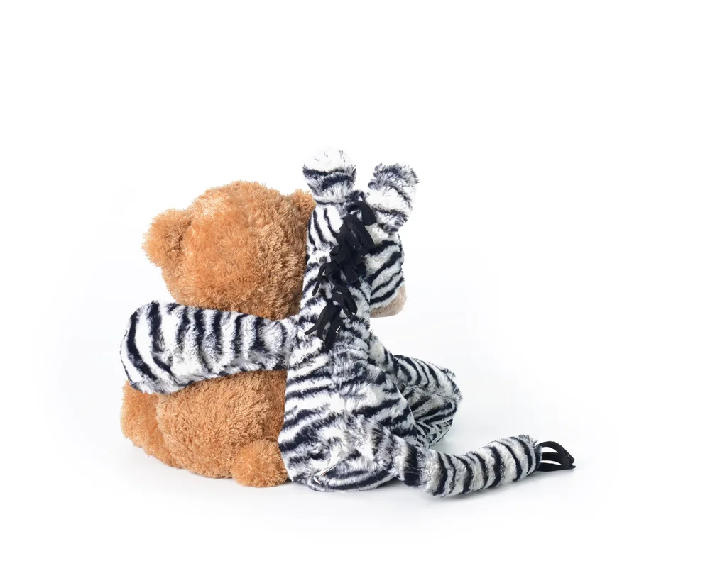Mission & Vision — Zebra Centre